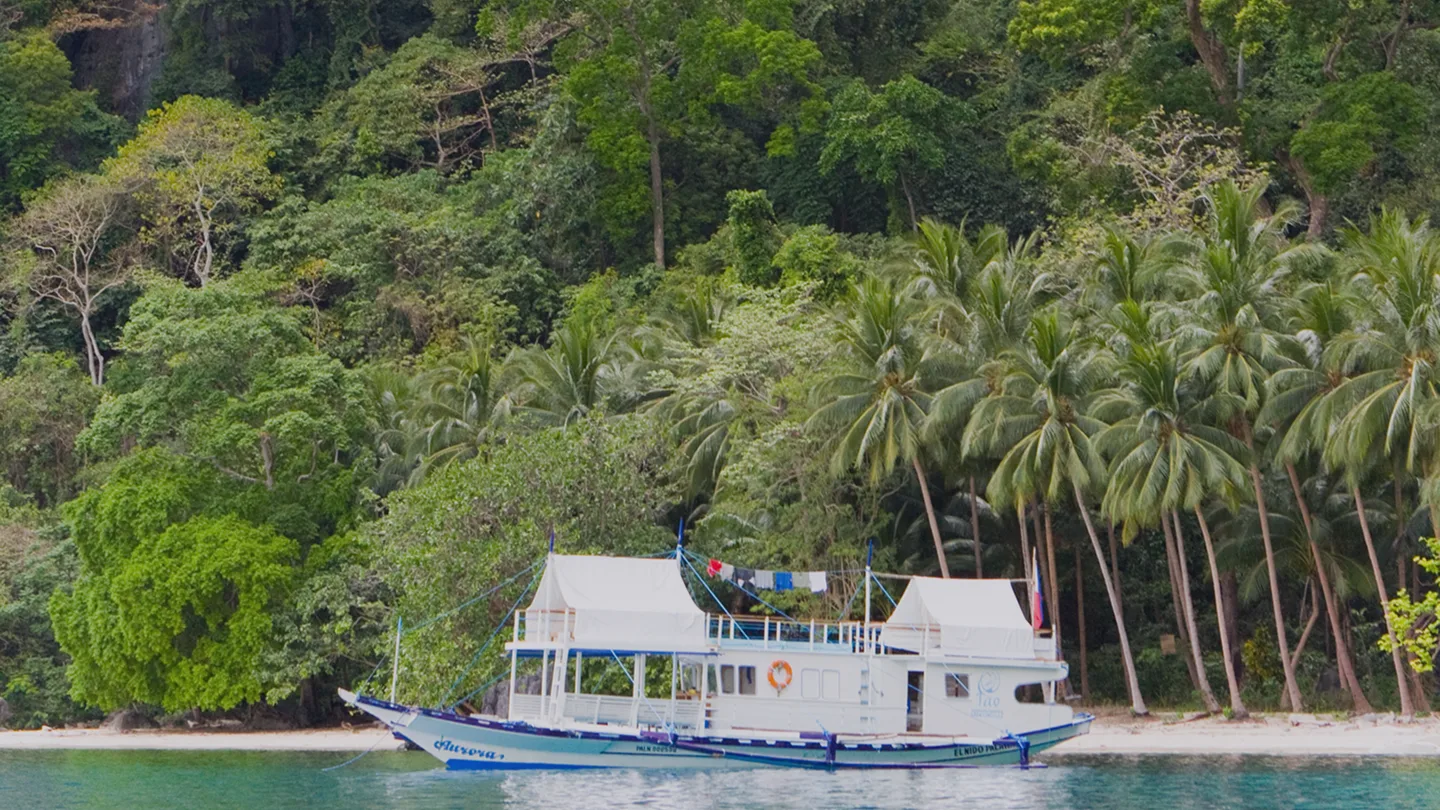 About Tao: our story